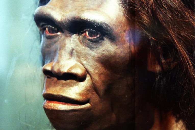 Orang pendek: Pokud tento tvor vůbec existuje, jedná se o předka ...