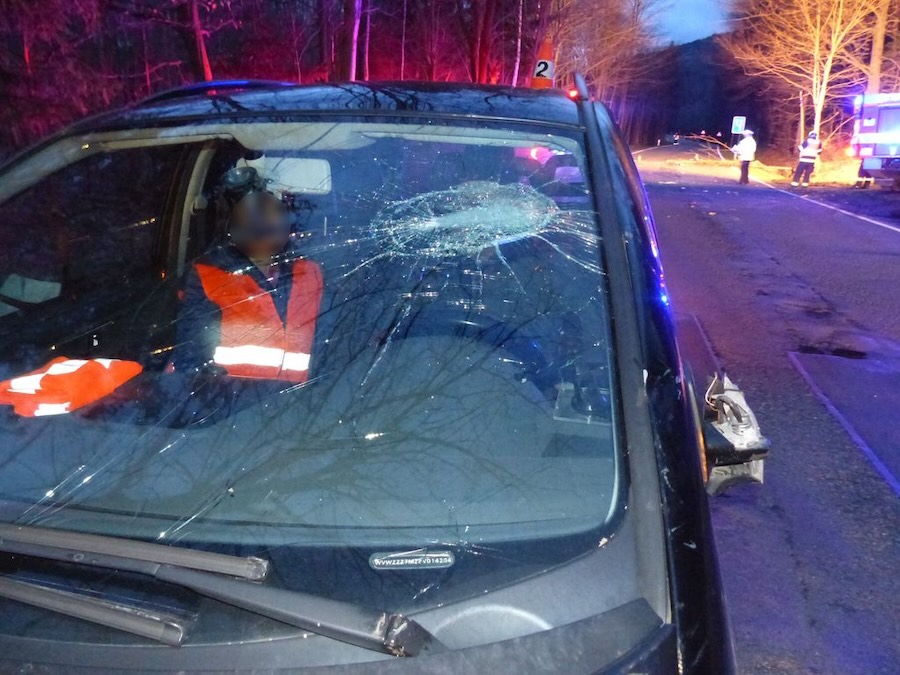 Na Jesenicku spadl na auto ztrouchnivělý strom